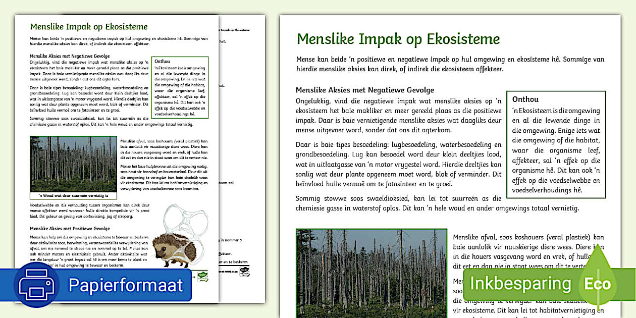 Menslike Impak op Ekosisteme Leesbegrip (teacher made)