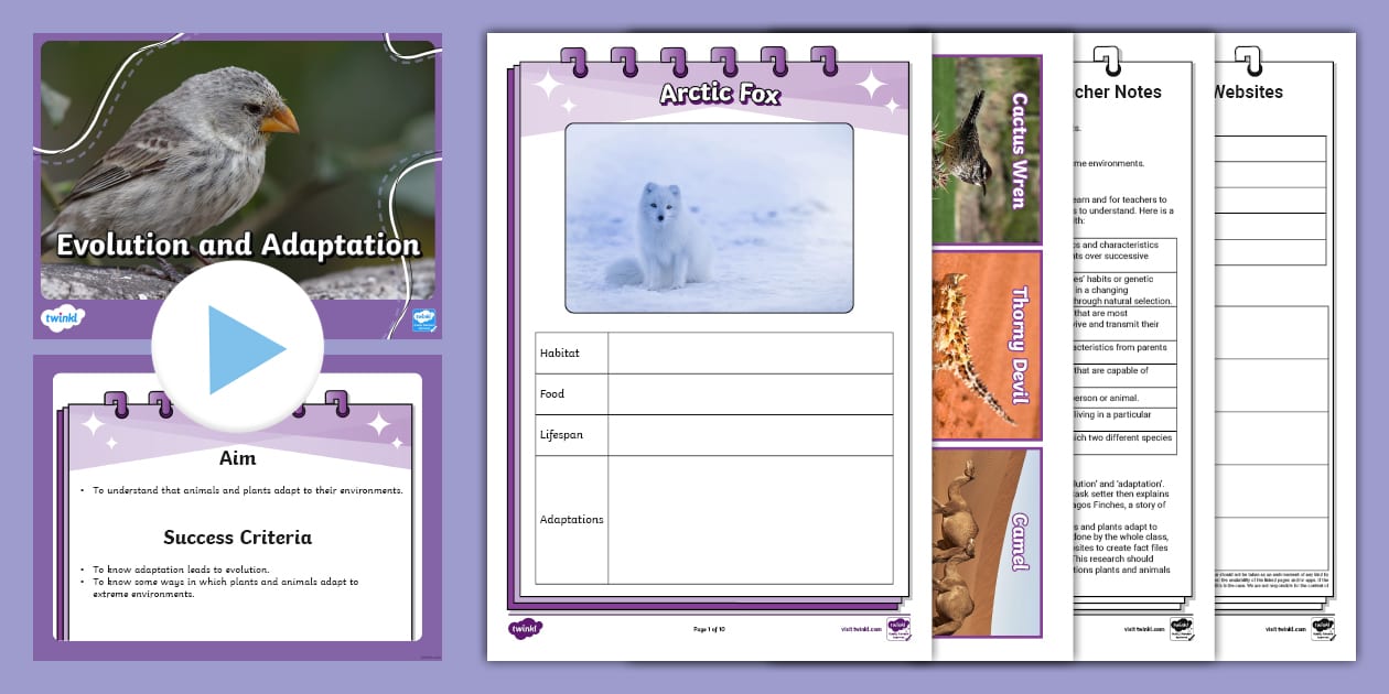 Evolution and Adaptation PowerPoint and Adaptation Game