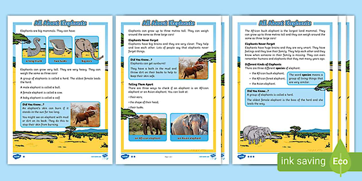 All About Elephants Differentiated Reading Comprehension