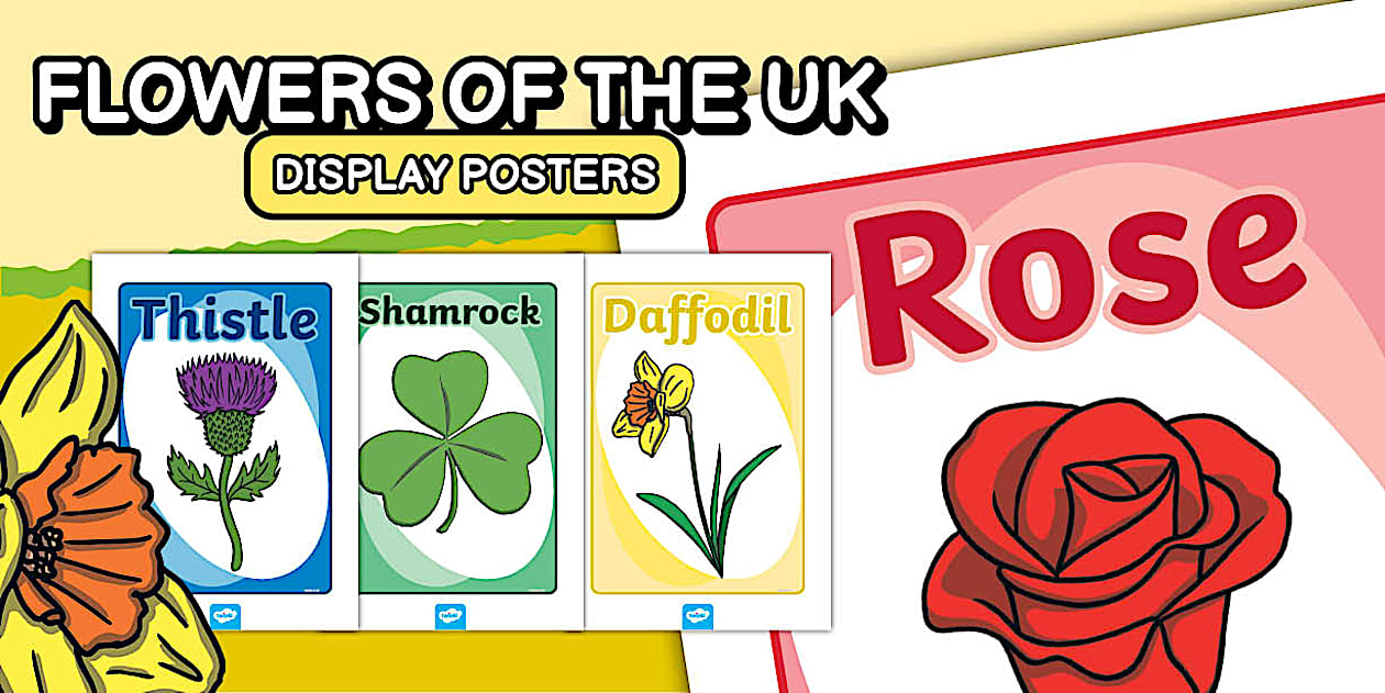 Flowers Of The UK Display Posters