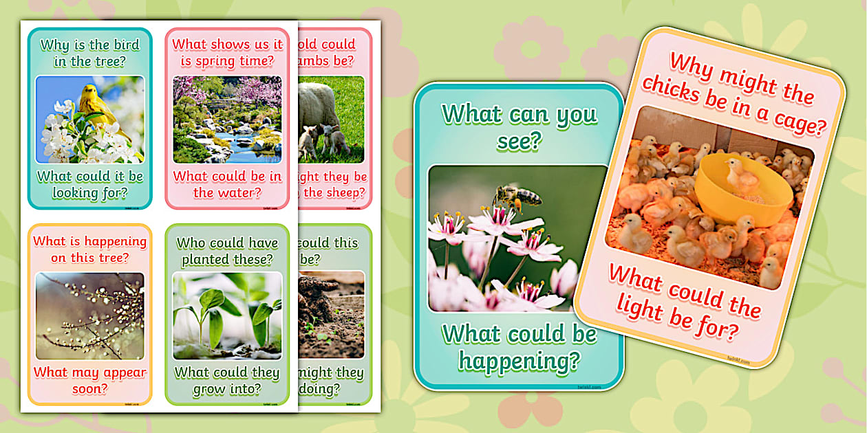 Spring Inference Photo Cards (teacher made) - Twinkl