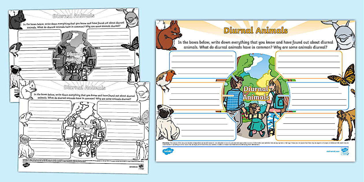 Diurnal Animals Mind Map - Twinkl Science (teacher made)