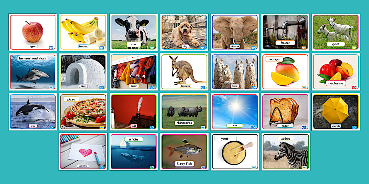 Things That Start With ... Photo Pack (l'enseignant a fait)