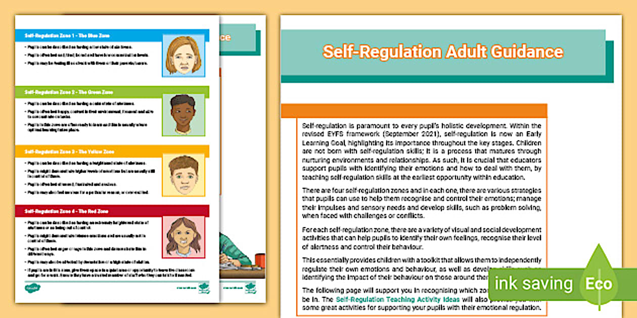 Self-Regulation Adult Guidance (teacher made) - Twinkl
