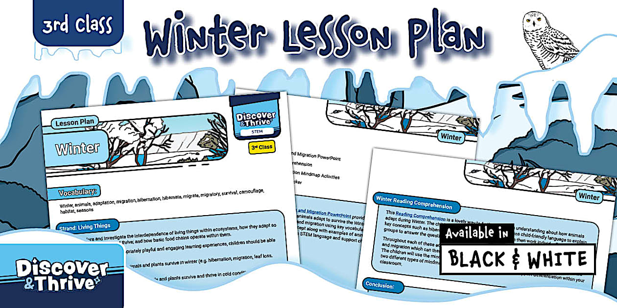 STEM (Living Things) Winter Lesson Plan 3rd Class