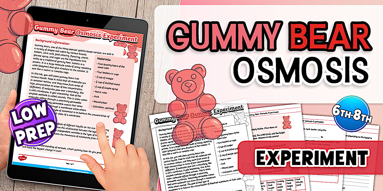 Gummy Bear Osmosis Experiment for 6th-8th Grade - Twinkl