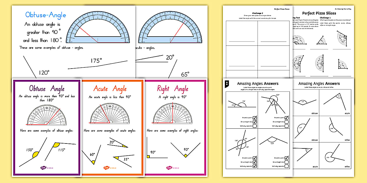 Types of Angles Resource Pack (teacher made) - Twinkl