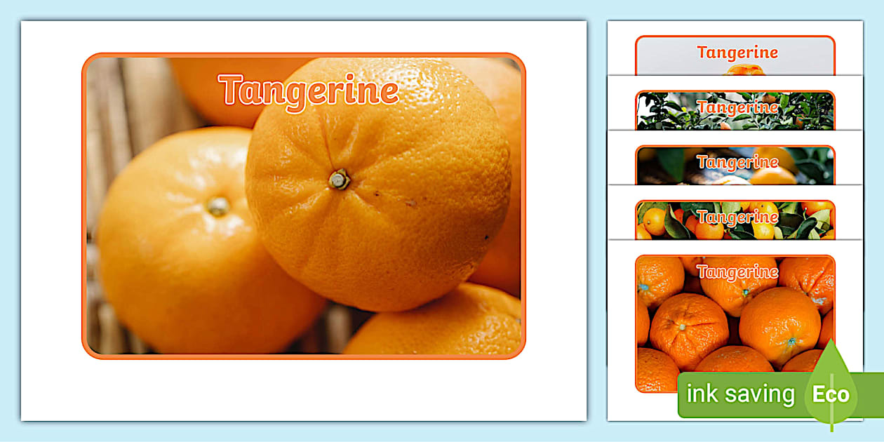 Tangerine Photo Pack (teacher made) - Twinkl