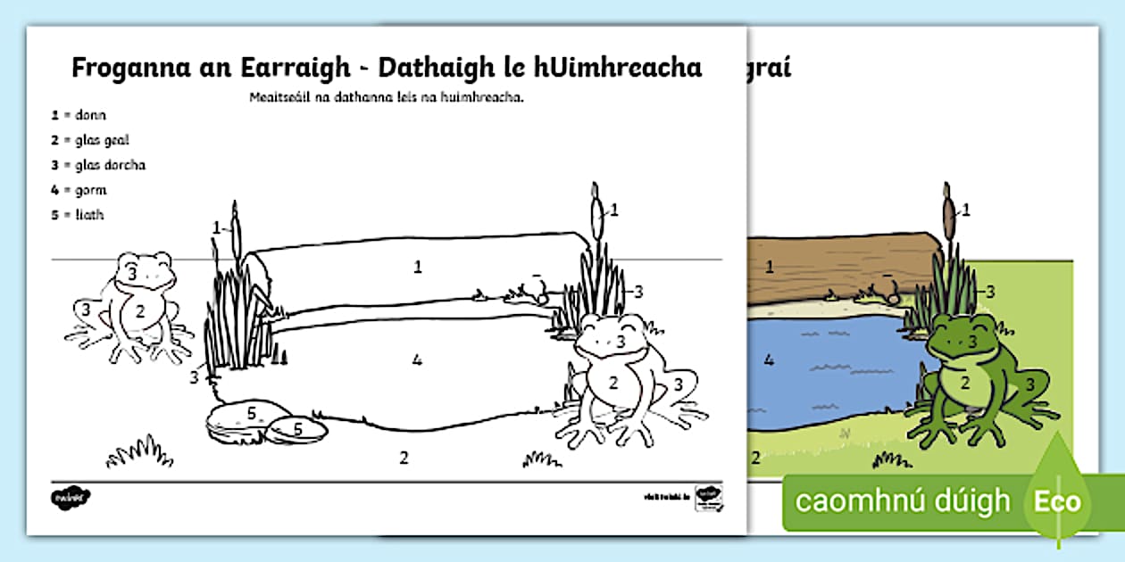 Spring Frogs Colour by Number Gaeilge (Teacher-Made)