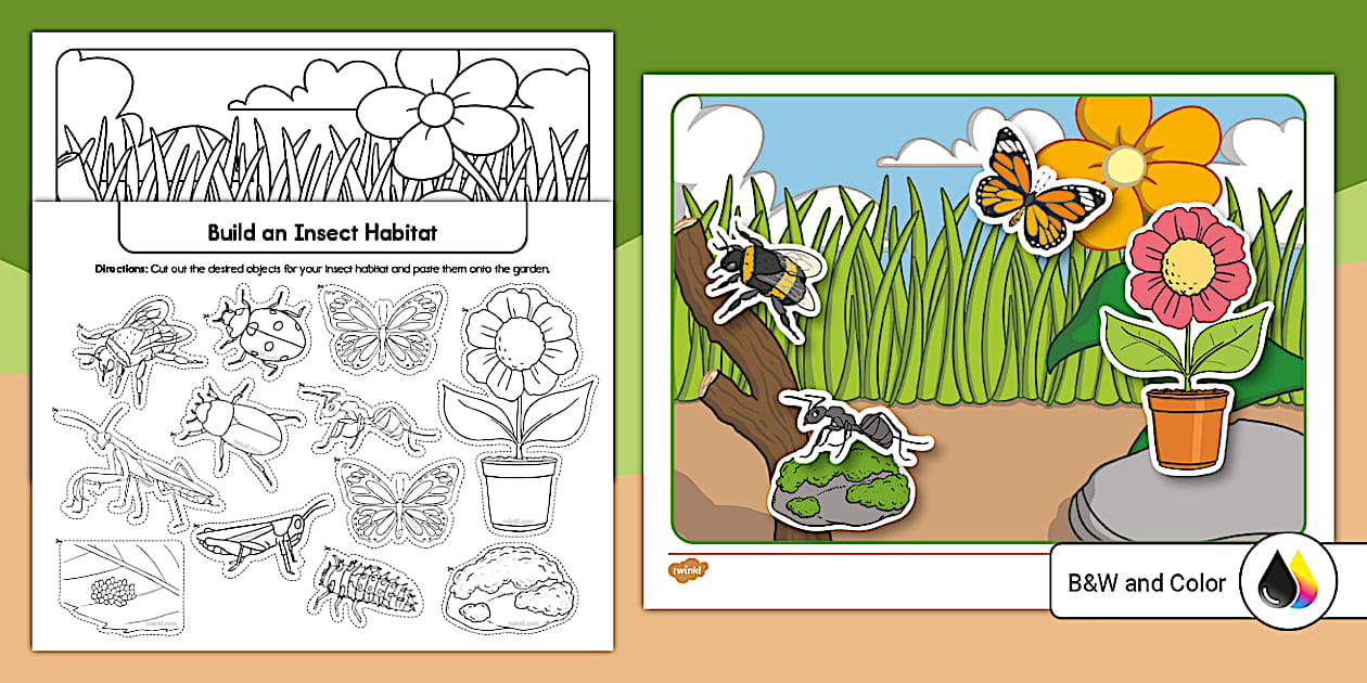 Build an Insect Habitat Cut and Paste Worksheet - Twinkl