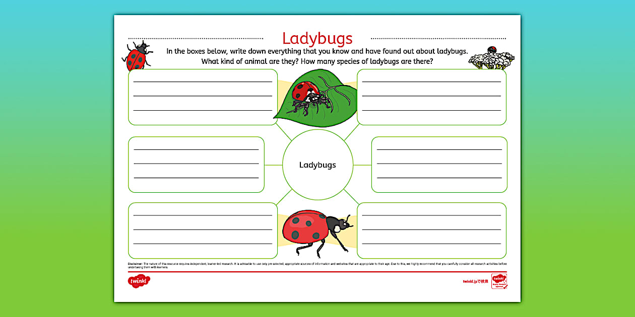 Ladybugs Mind Map (teacher made) - Twinkl