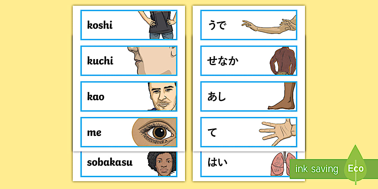 Japanese Parts of the Body Word Cards (teacher made)