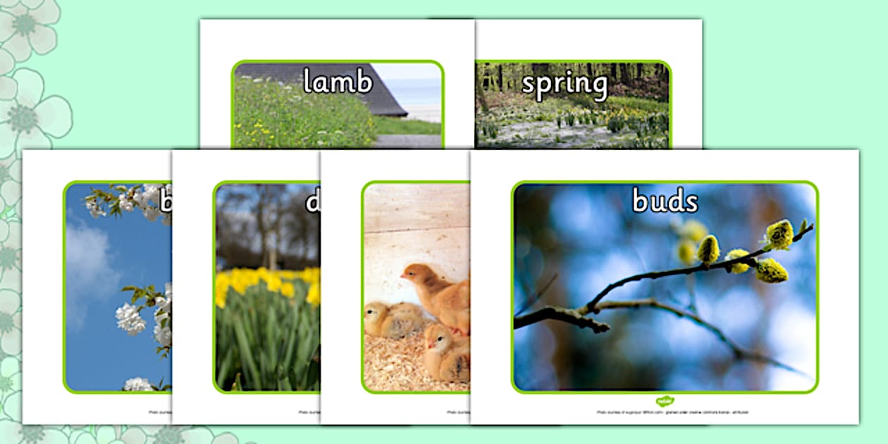 Pictures of Spring - Spring Pictures For Kids (teacher made)