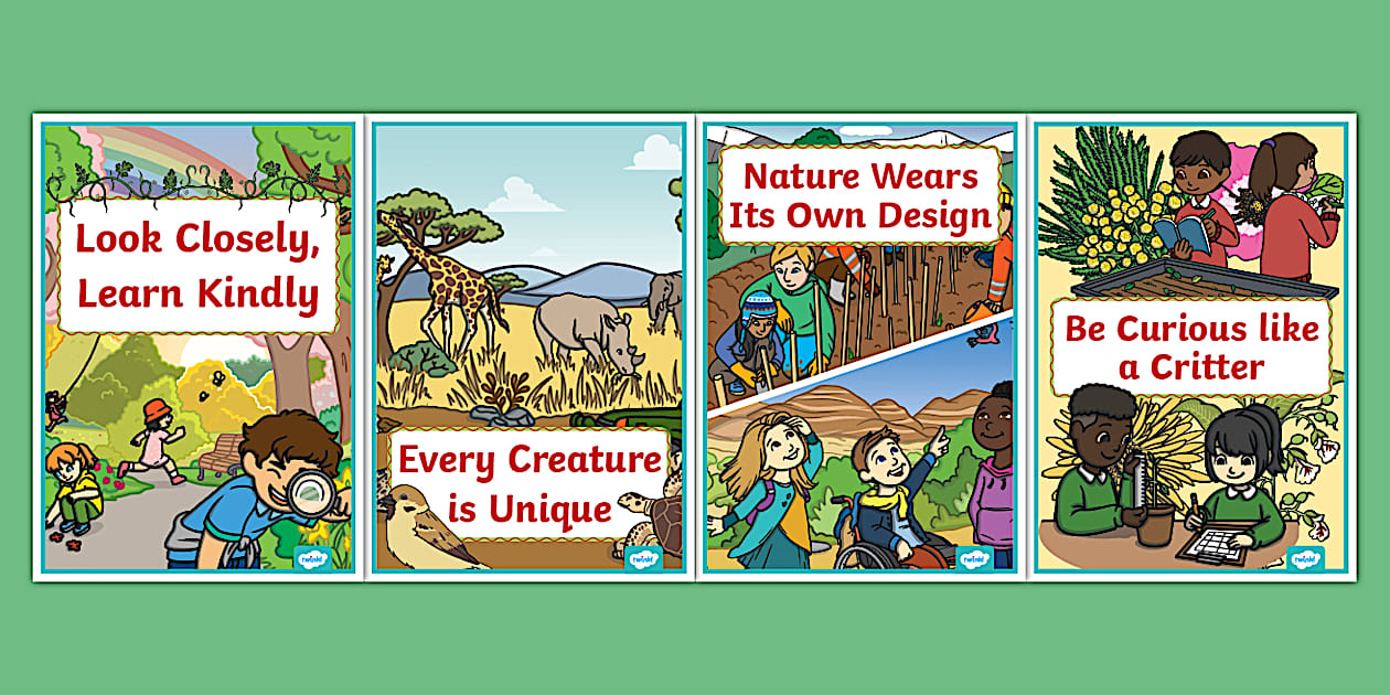 STEM Posters – External Features of Plants and Animals