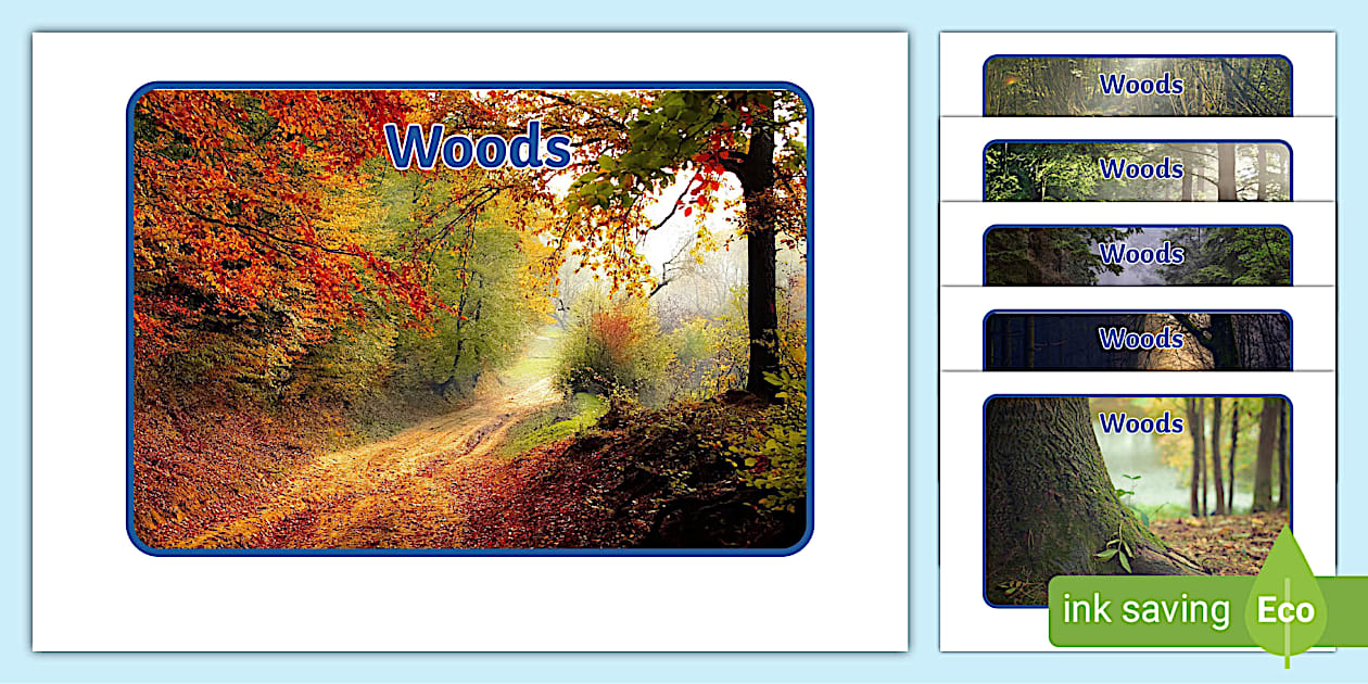 Woods Photo Pack (teacher made) - Twinkl