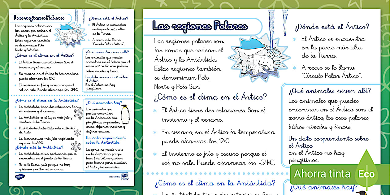 Hoja informativa: Regiones polares (teacher made) - Twinkl