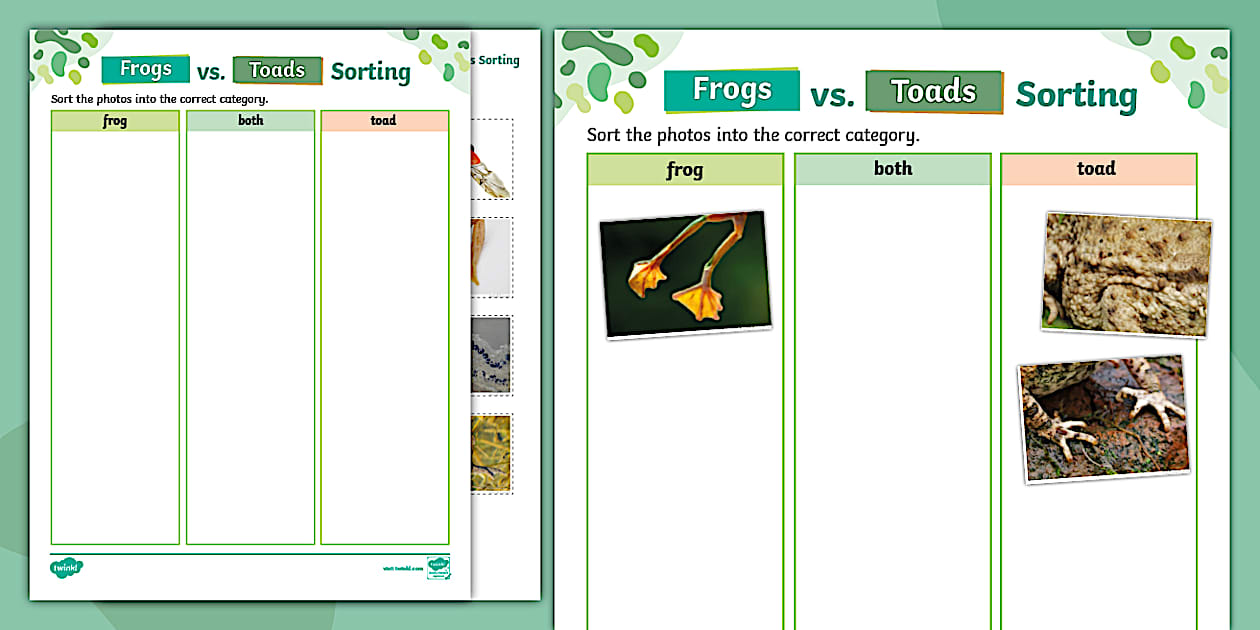 Frogs vs. Toads Sorting Worksheet for 3rd-5th Grade - Twinkl