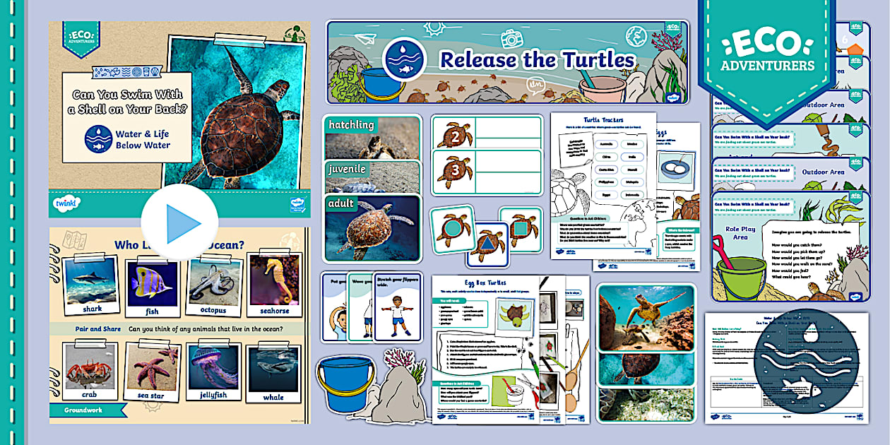 EYFS: Sea Turtle - Can You Swim With a Shell on Your Back?