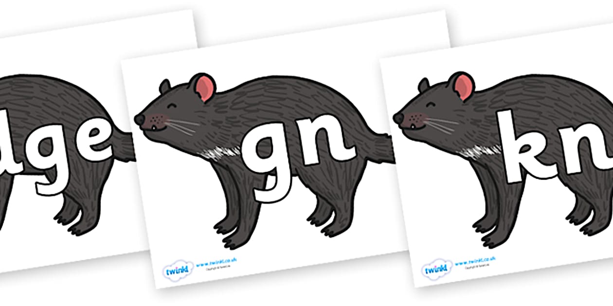 Cursive Silent Letters on Tasmanian Devil (teacher made)