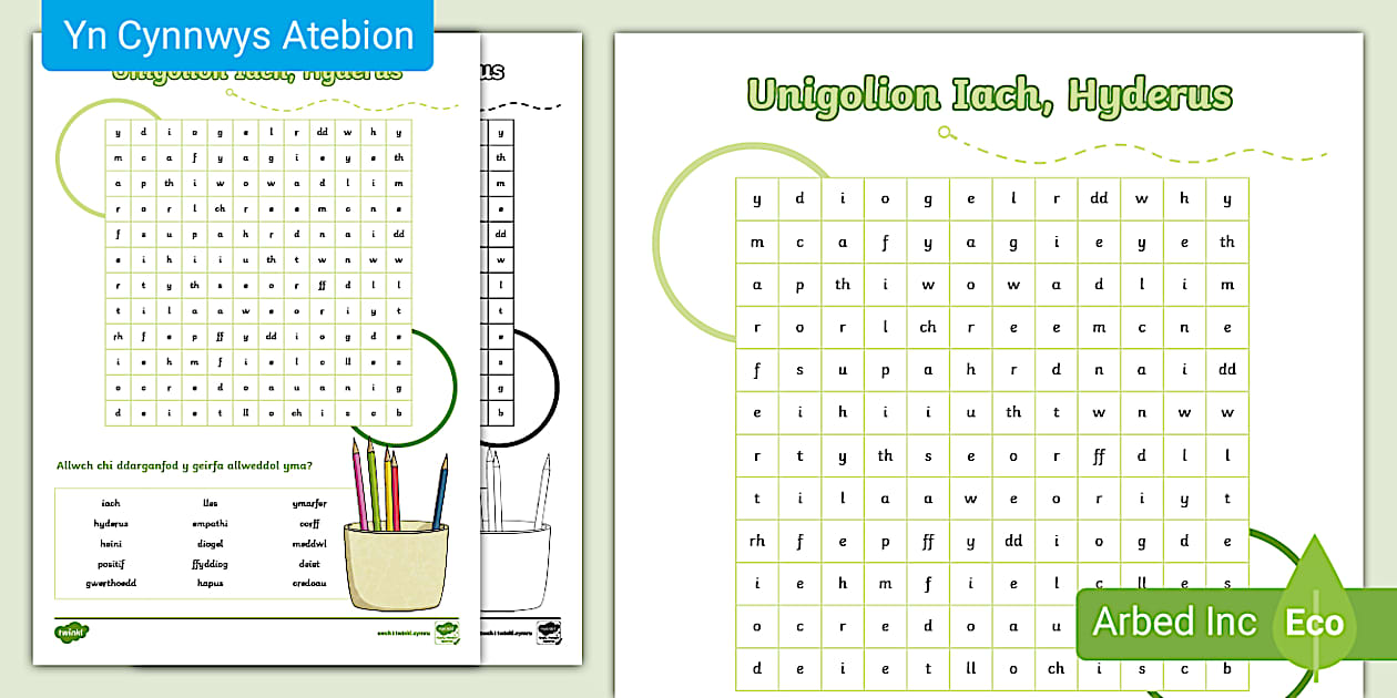 Y Pedwar Diben: Chwilair Unigolion Iach, Hyderus - Twinkl