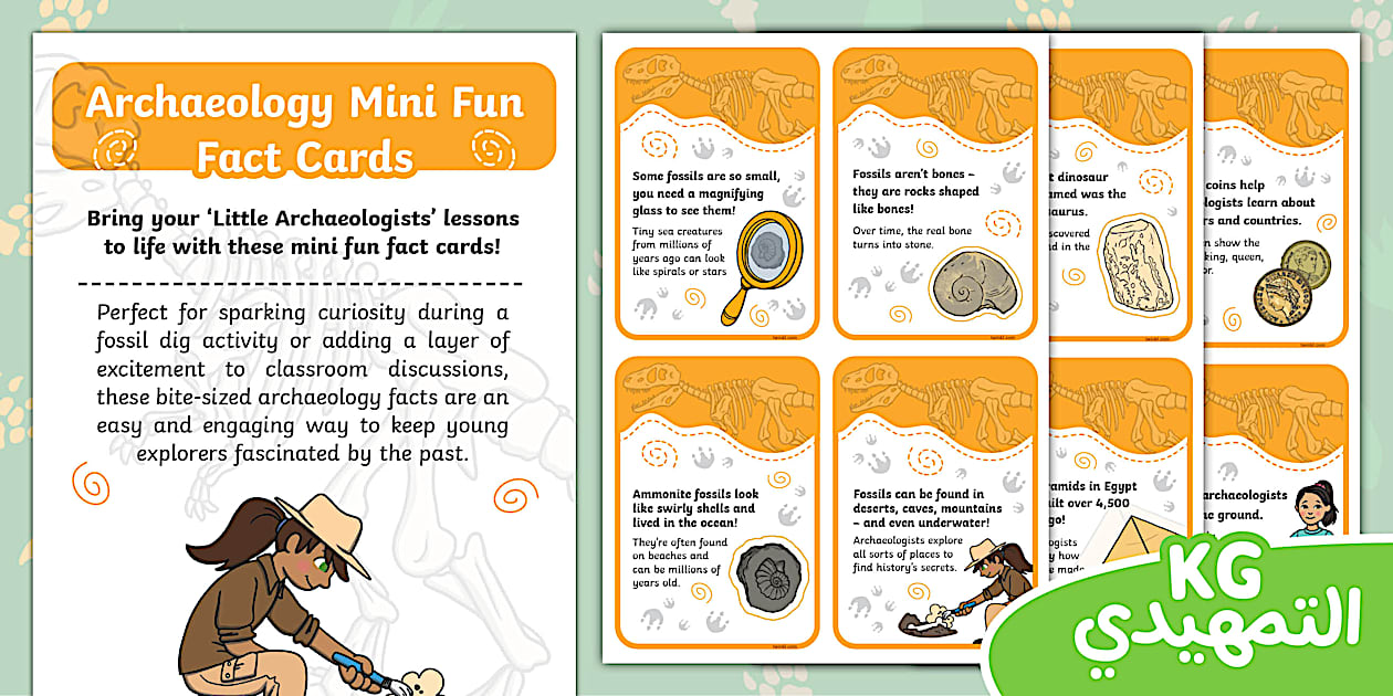 Little Archaeologists: Archaeology Mini Fun Fact Cards | EYFS Understanding