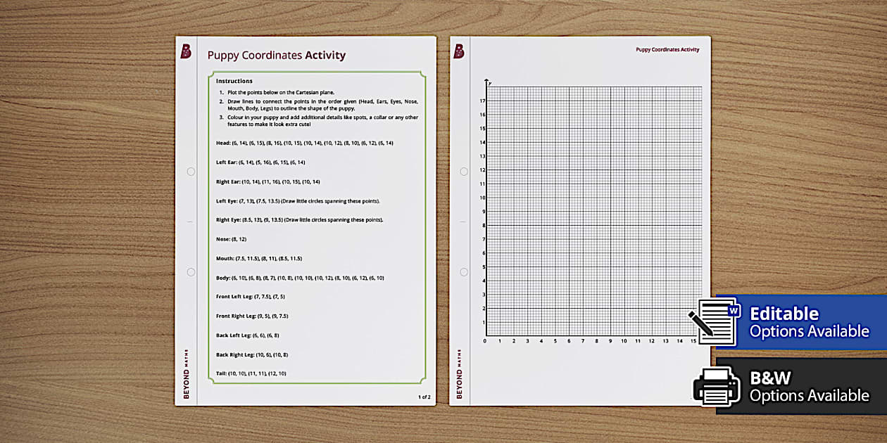 Coordinates Image Activity (teacher made) - Twinkl
