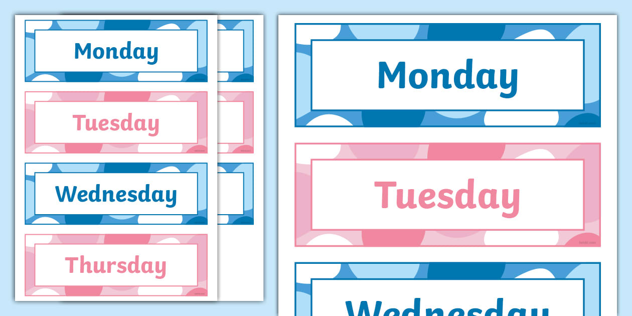 'Wee Buns' Days of the Week Cards (teacher made) - Twinkl