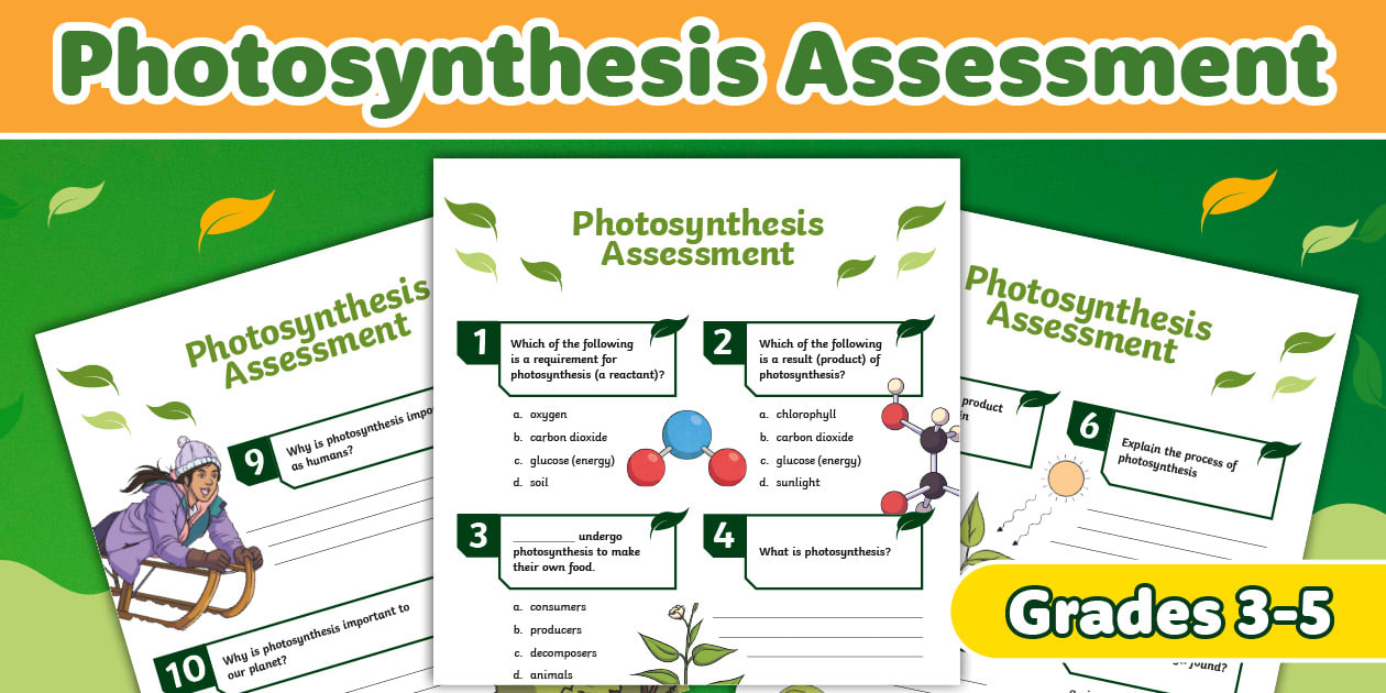 Photosynthesis Assessment for 3rd-5th Grade
