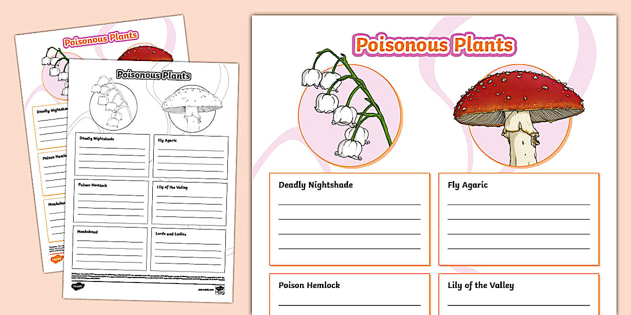 Poisonous Plants Fact File Template (Teacher-Made) - Twinkl