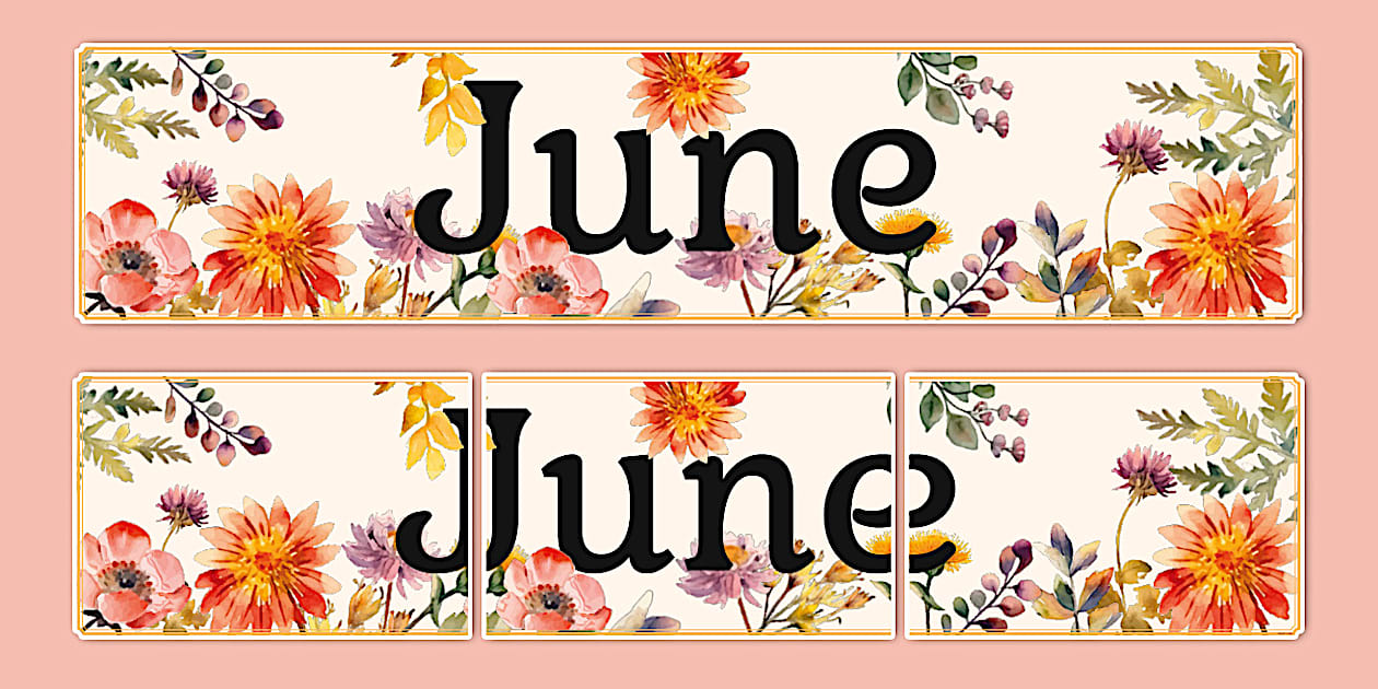 Wildflower Botanical Themed June Display Banner - Twinkl