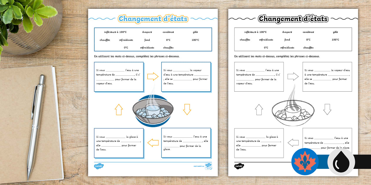 Changing States of Matter: Ice, Water and Vapour Worksheet French