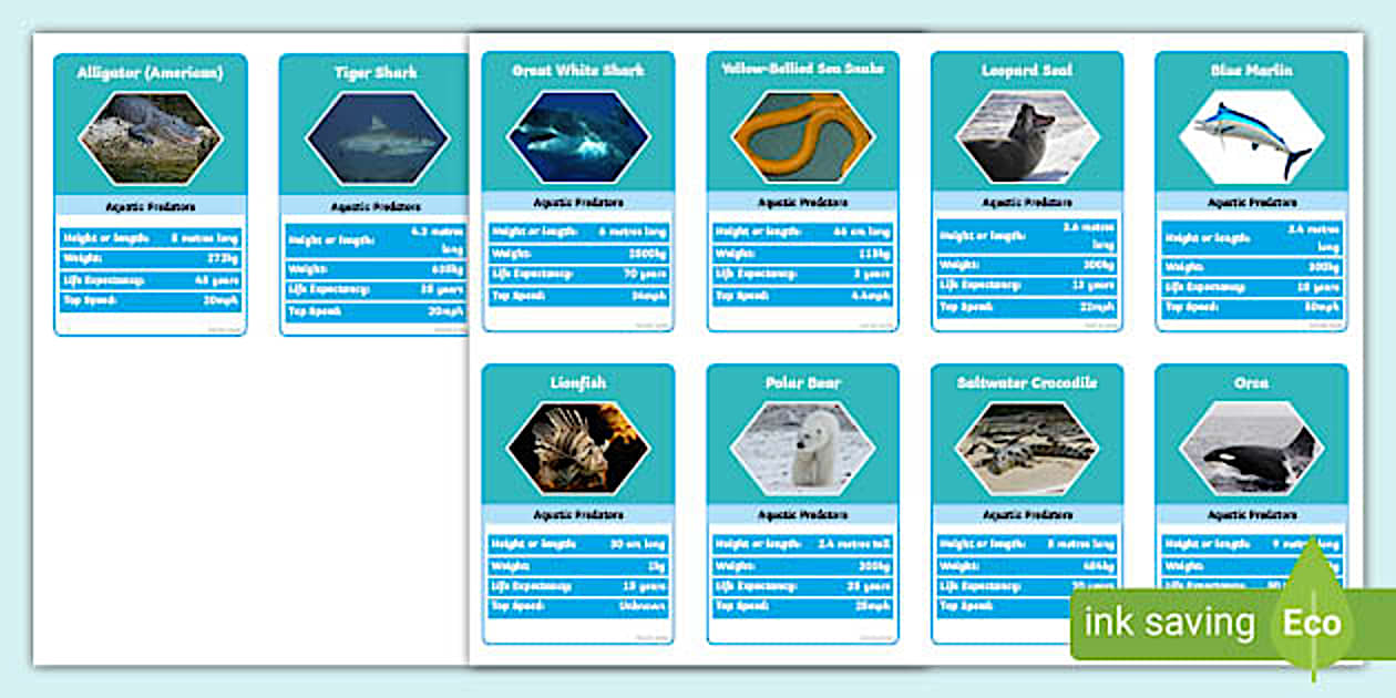 Top Cards: Aquatic Predators - Card Game - Primary Teaching Resources