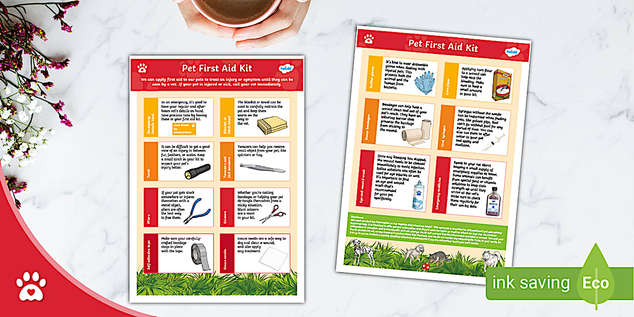 Pet First Aid Kit - Information Sheet - Health - Twinkl Pets