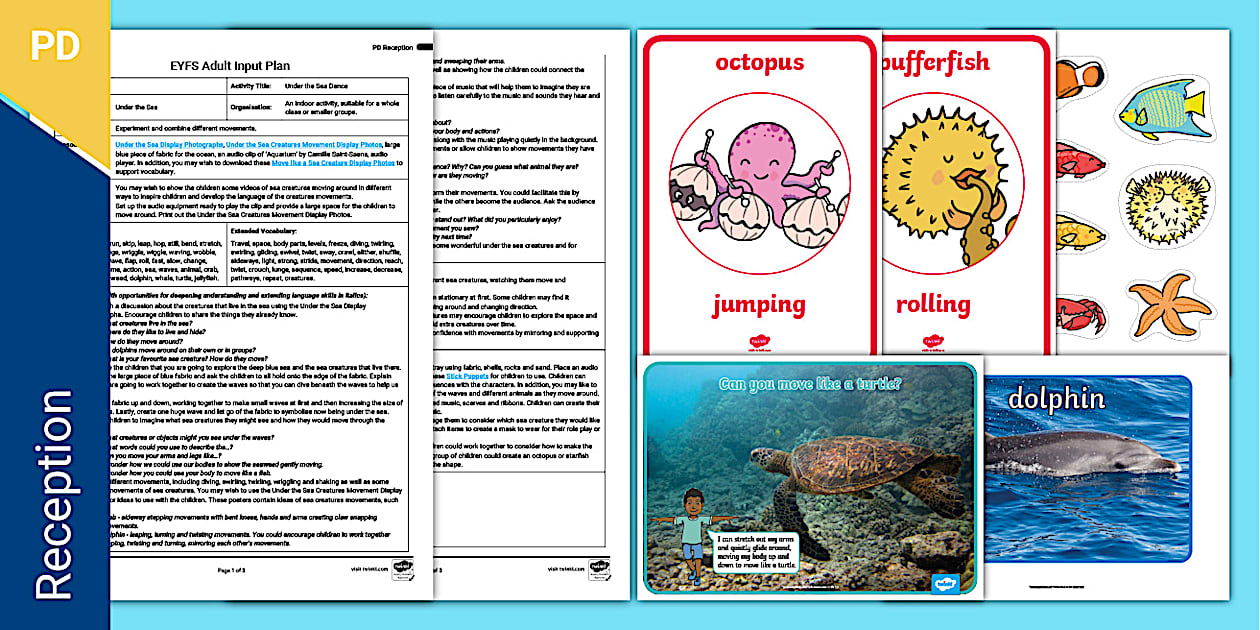 EYFS Under the Sea Dance Adult Input Plan and Resource Pack