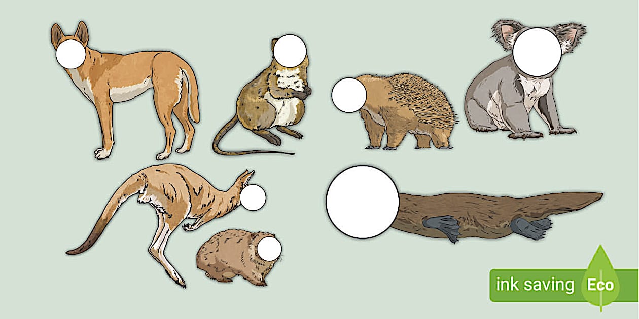 Australian Animal Face Cut Outs (Teacher-Made) - Twinkl