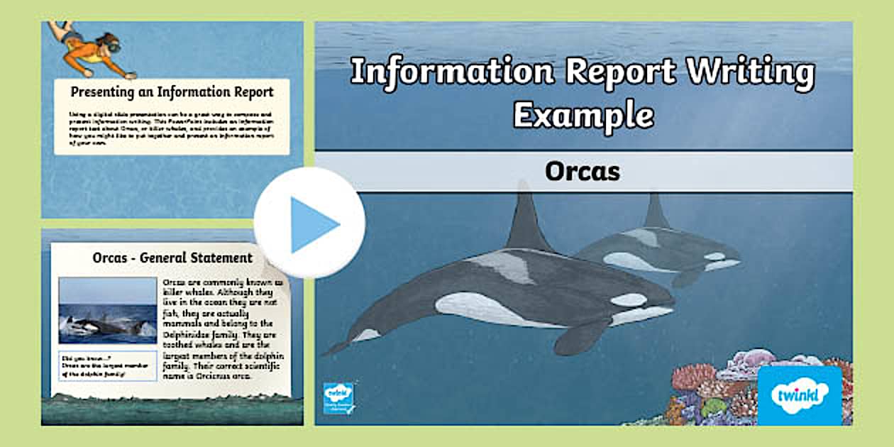 Orca Information Report Writing Example | Primary Resources