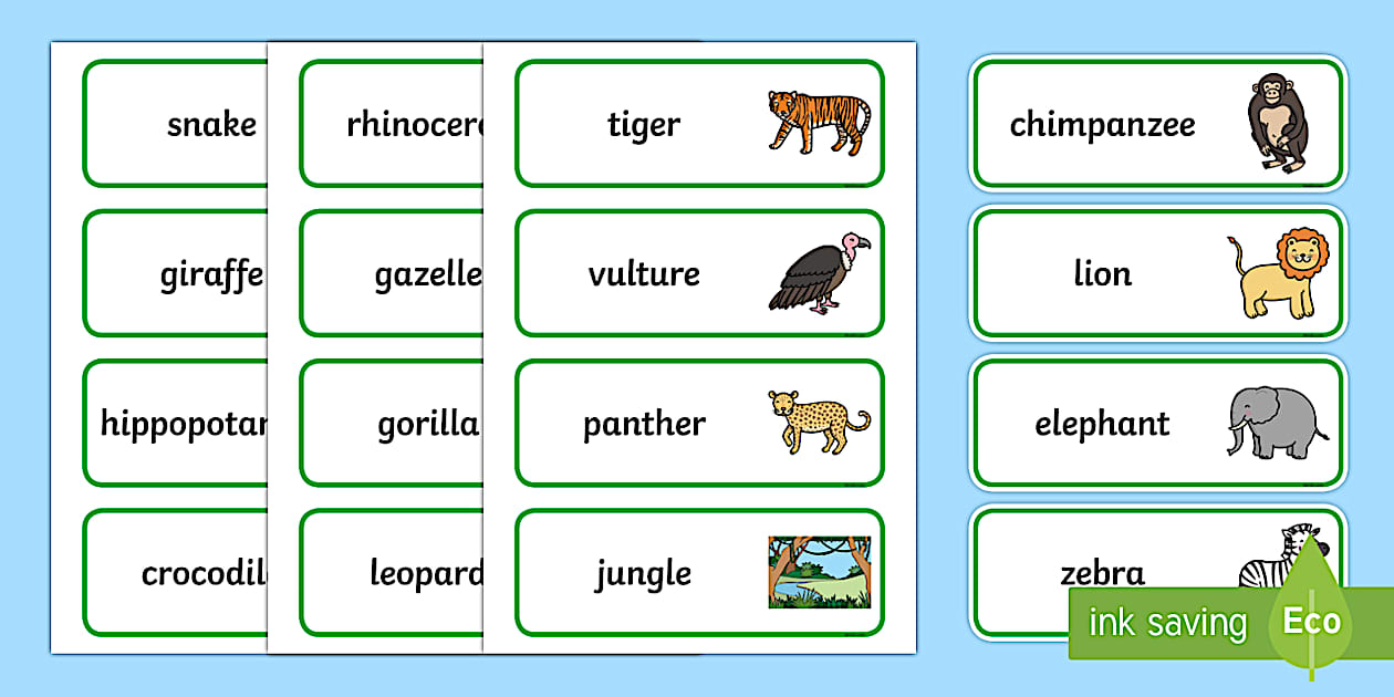 Word Cards to Support Teaching on Rumble in the Jungle