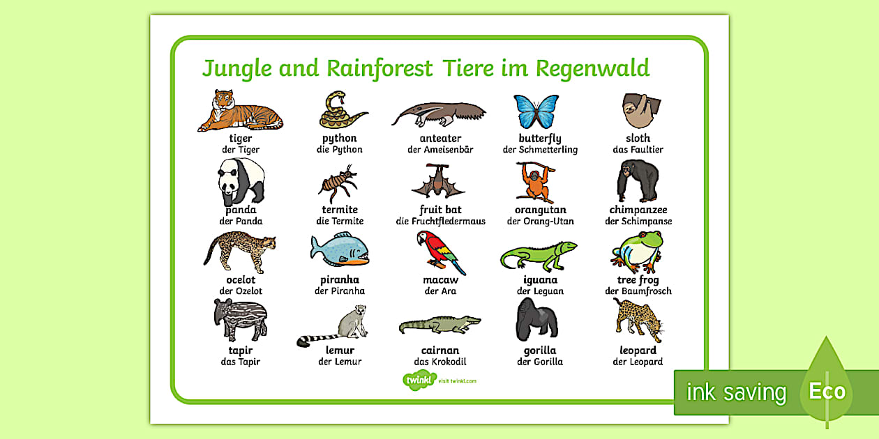 Jungle & Rainforest Word Mat English/German (teacher made)