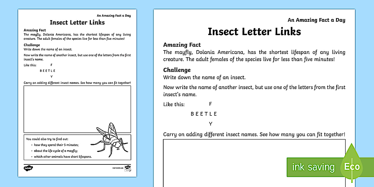 Insect Name Linking Worksheet / Worksheet (teacher made)
