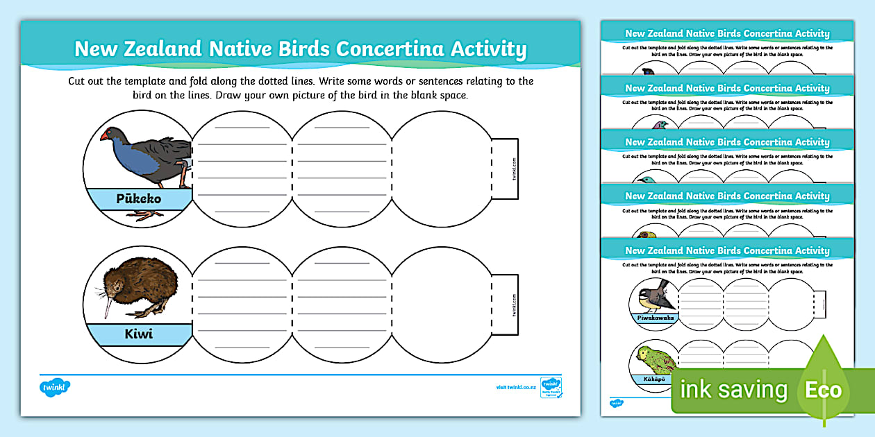 New Zealand Native Birds Concertina Activity - Twinkl