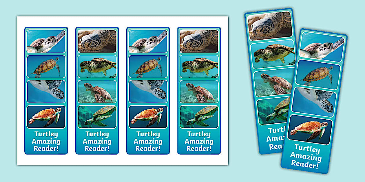 Turtles Photo Strip Bookmarks (Teacher-Made) - Twinkl
