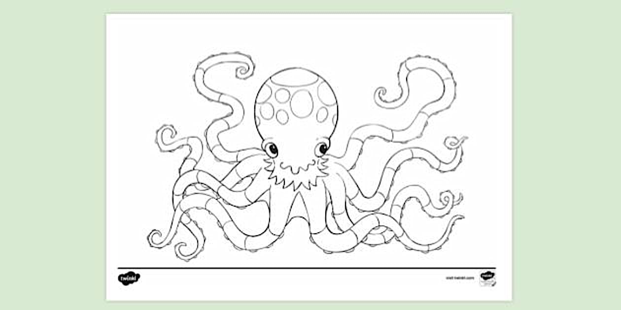 Octopus with 8 Legs and Spots | Colouring Sheets - Twinkl