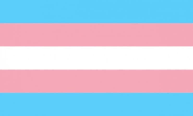 Transgender Awareness Week | Twinkl New Zealand - Twinkl