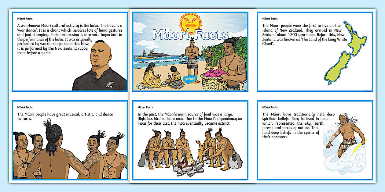 Māori Facts Display Cards (teacher made) - Twinkl