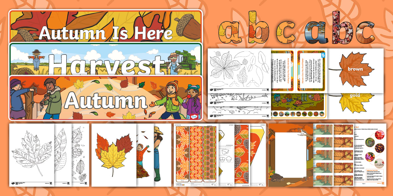 Autumn Board Ideas Display Pack | Twinkl K-3 Resources