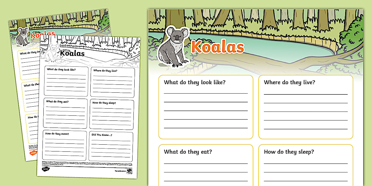 Koala Fact File Template (Teacher-Made) - Twinkl