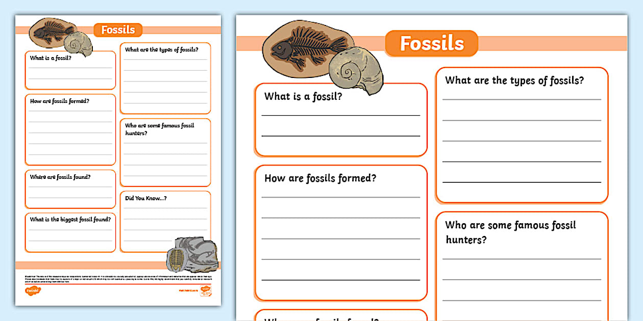 KS1 Fossils Fact File Template (teacher made) - Twinkl
