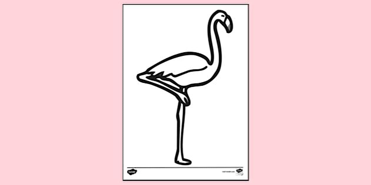 Printable Flamingo Colouring | Colouring Sheets - Twinkl
