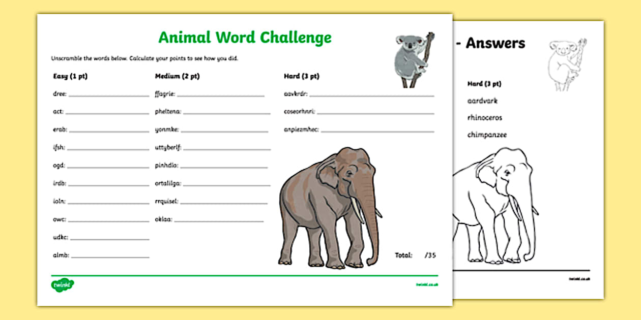 Animals scrambled Scrambled Word Challenge - Twinkl