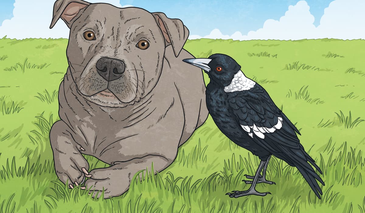 Pet Pals Molly and Peggy Reunited - Twinkl NewsRoom - Twinkl